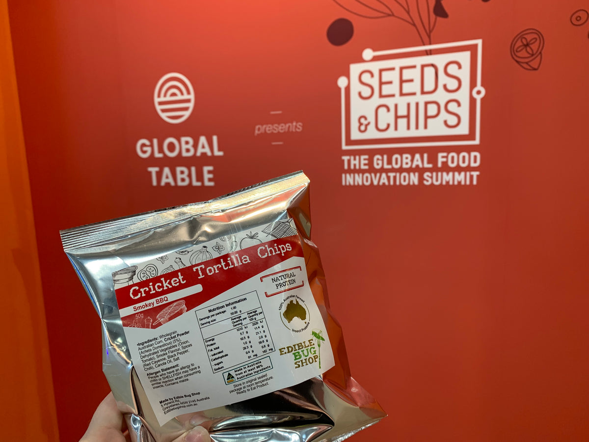 Cricket powder tortilla chips – Edible Bug Shop