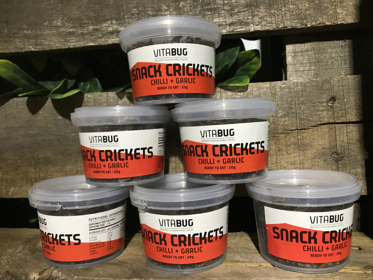 Affordable Edible Insect Products In Australia Online| Edible Bug Shop